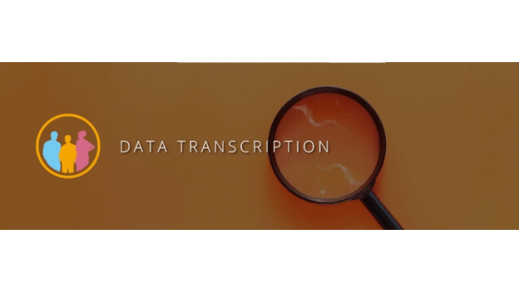 The Significance of Data Transcription in Digital Transformation ...